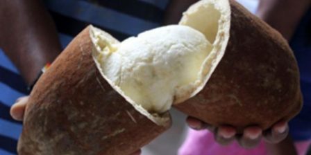 Copoazú: la fruta que aporta a conservar la Amazonia colombiana