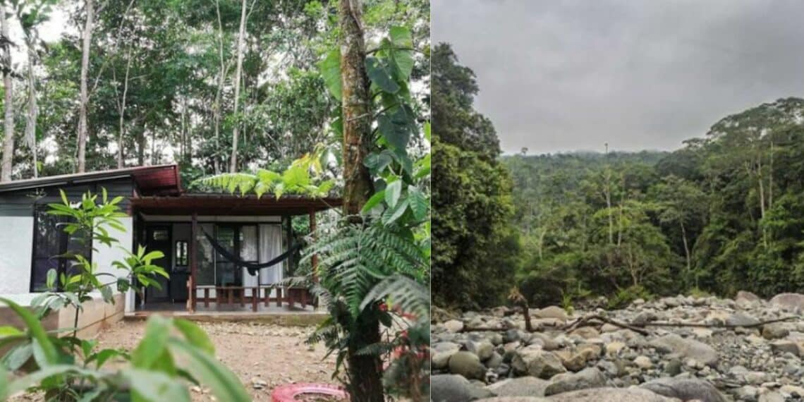 Paway y su mariposario: La reserva ecológica que cautivan a los ...