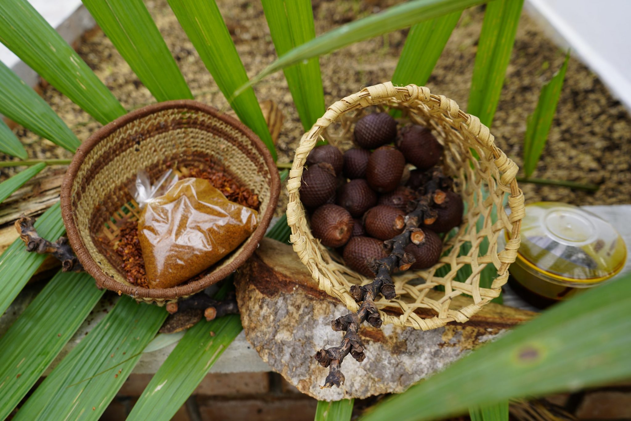 Se inaugura primera planta de procesamiento de frutos amazónicos de ...