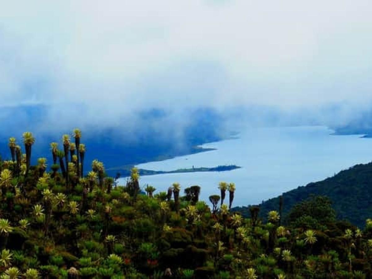 Biodiversidad ancestral en el Valle de Sibundoy: un viaje a través de la cultura indígena ...