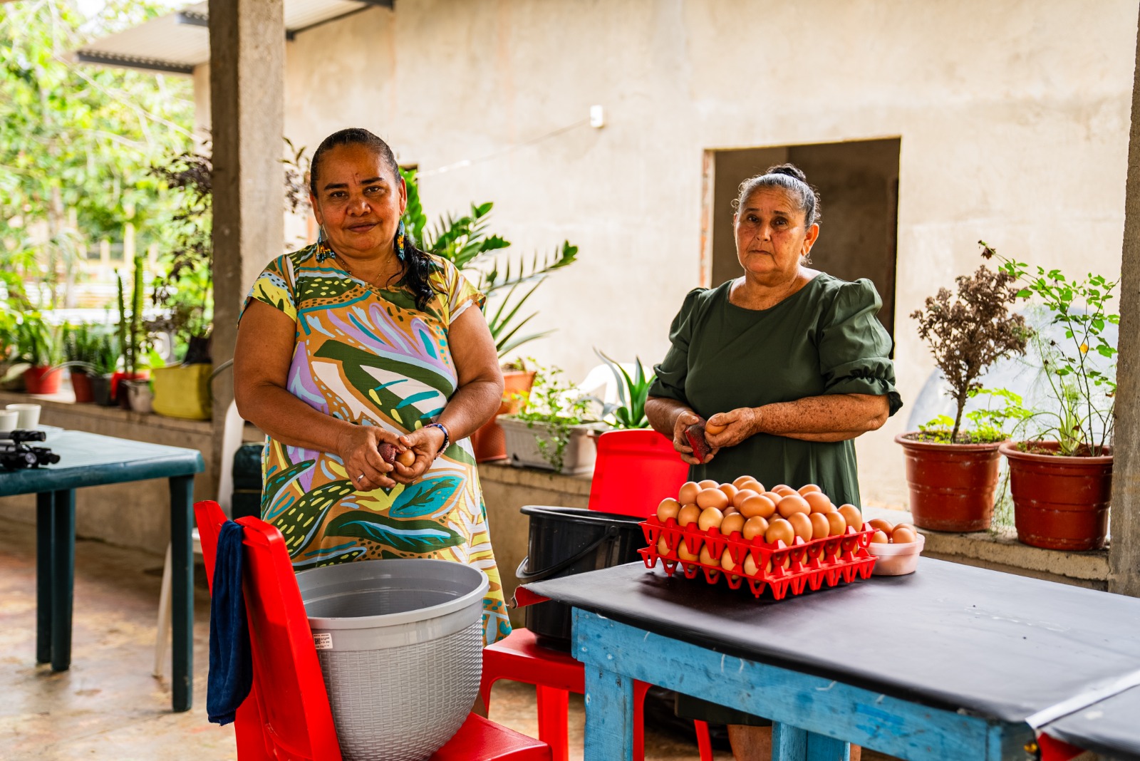 Huevos, autonomía y liderazgo: 34 mujeres rurales impulsan el ...